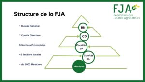 Structure – FJA
